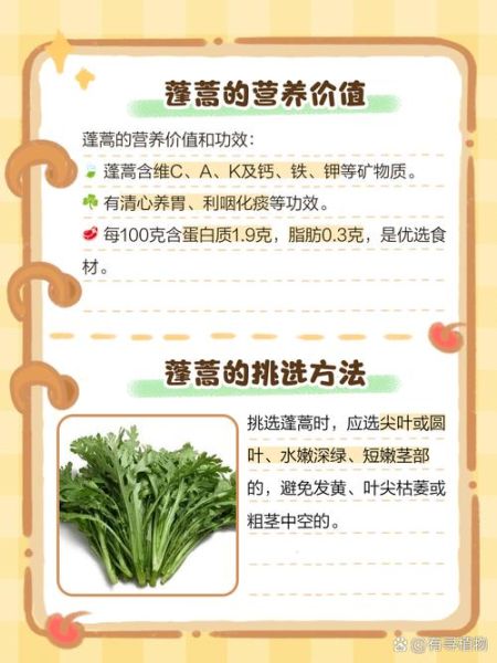 蓬蒿菜怎么烧_蓬蒿菜的家常做法-第3张图片-山城妙识