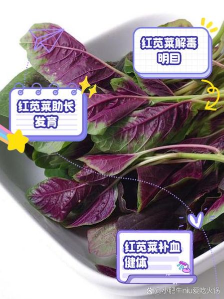 红苋菜的功效与作用禁忌_孕妇能吃吗-第3张图片-山城妙识