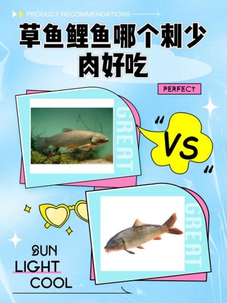 鲤鱼刺多吗_怎么吃才安全-第1张图片-山城妙识