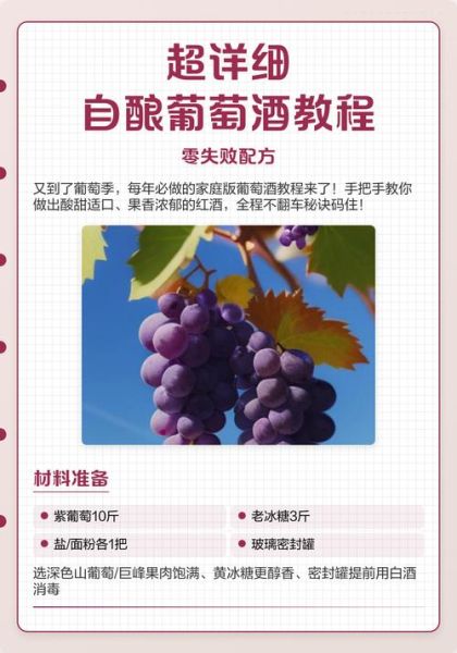 葡萄酒怎么做_家庭自酿葡萄酒视频教程-第2张图片-山城妙识