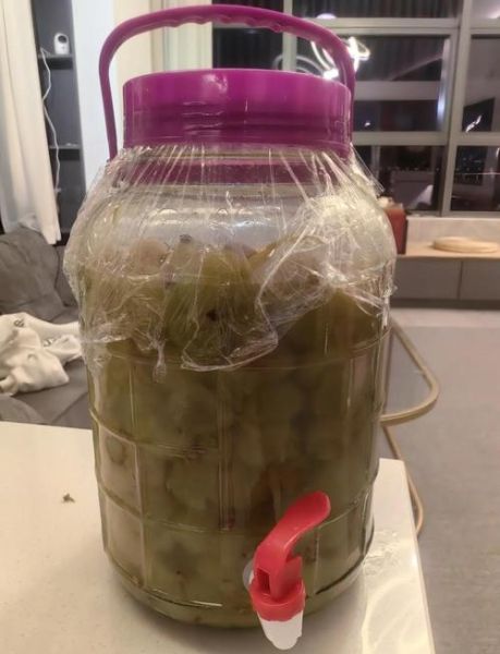 葡萄酒怎么做_家庭自酿葡萄酒视频教程-第3张图片-山城妙识