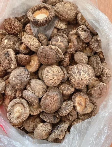 香菇焯水好还是不焯水好_干香菇泡发要不要焯水-第1张图片-山城妙识