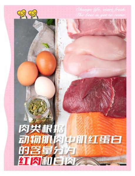 红肉白肉指的是什么_红肉白肉区别有哪些-第3张图片-山城妙识