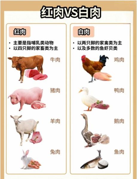 红肉白肉指的是什么_红肉白肉区别有哪些-第2张图片-山城妙识