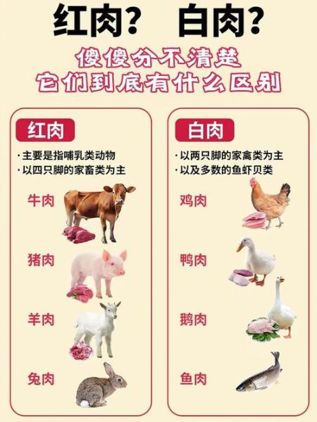 红肉白肉指的是什么_红肉白肉区别有哪些-第1张图片-山城妙识