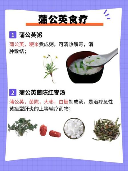 蒲公英图片功效与作用_蒲公英泡水喝有什么禁忌-第1张图片-山城妙识