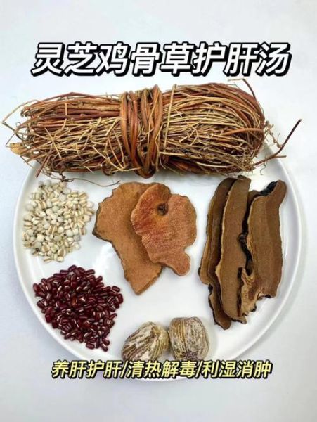 鸡骨草茯苓汤怎么煲_鸡骨草茯苓汤功效与禁忌-第1张图片-山城妙识 鸡骨草茯苓汤怎么煲_鸡骨草茯苓汤功效与禁忌-第1张图片-山城妙识