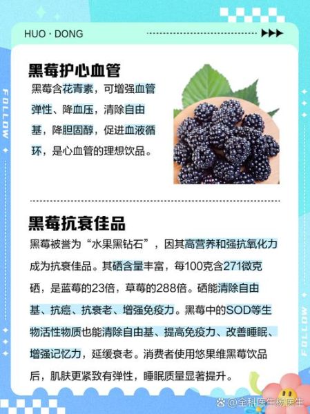 黑莓的功效与作用_黑莓怎么吃效果最好-第1张图片-山城妙识 黑莓的功效与作用_黑莓怎么吃效果最好-第1张图片-山城妙识