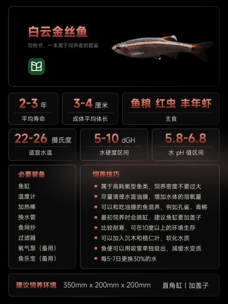 金丝鱼怎么繁殖_金丝鱼繁殖条件-第2张图片-山城妙识 金丝鱼怎么繁殖_金丝鱼繁殖条件-第2张图片-山城妙识