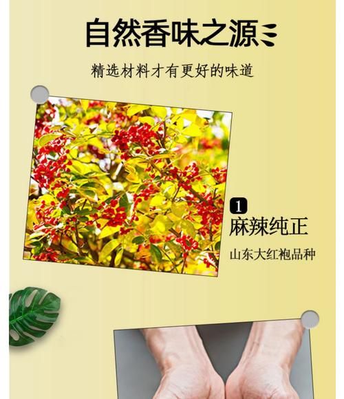 花椒粉的功效与作用_花椒粉能减肥吗-第3张图片-山城妙识 花椒粉的功效与作用_花椒粉能减肥吗-第3张图片-山城妙识