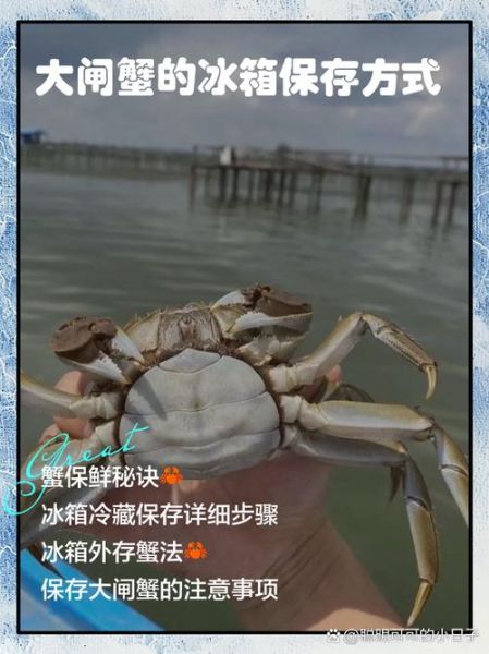 鲜活大闸蟹如何保存_大闸蟹能放冰箱吗-第2张图片-山城妙识 鲜活大闸蟹如何保存_大闸蟹能放冰箱吗-第2张图片-山城妙识