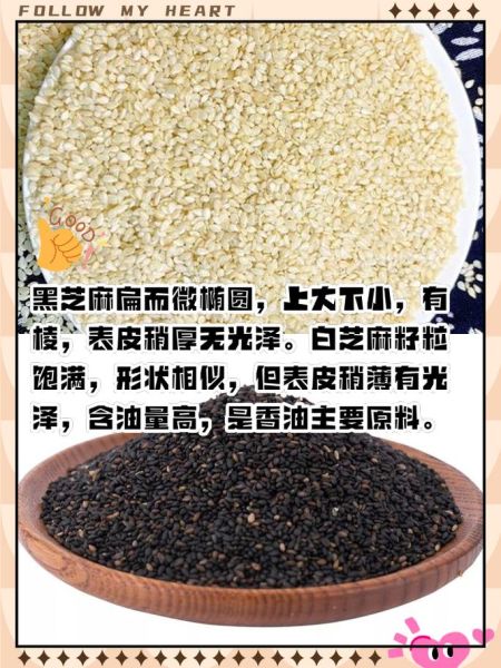 白芝麻和黑芝麻哪个好_白芝麻与黑芝麻的区别与作用-第3张图片-山城妙识 白芝麻和黑芝麻哪个好_白芝麻与黑芝麻的区别与作用-第3张图片-山城妙识
