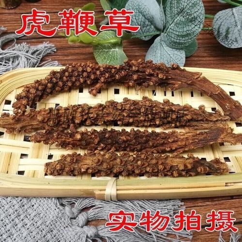 虎鞭的功效与作用_虎鞭怎么吃效果最好-第2张图片-山城妙识 虎鞭的功效与作用_虎鞭怎么吃效果最好-第2张图片-山城妙识