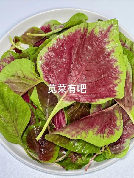 苋菜鸡蛋饼怎么做_苋菜鸡蛋饼的营养价值-第1张图片-山城妙识 苋菜鸡蛋饼怎么做_苋菜鸡蛋饼的营养价值-第1张图片-山城妙识
