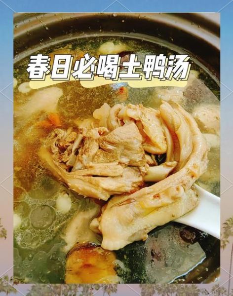 鸭子炖汤的做法大全家常汤_鸭子汤怎么炖好喝又营养-第2张图片-山城妙识