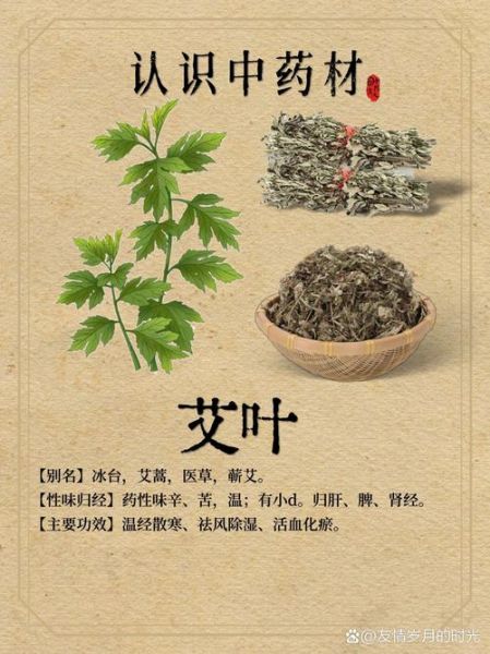艾叶的功效与作用_艾叶怎么用效果最好-第2张图片-山城妙识