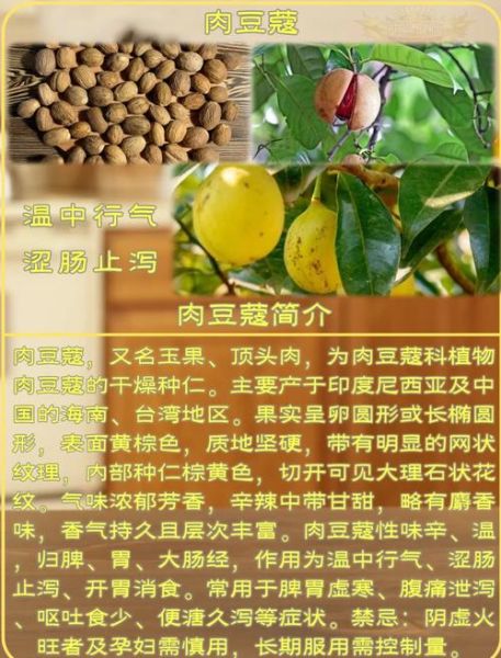 肉豆蔻的功效与作用及禁忌_肉豆蔻怎么吃才安全-第1张图片-山城妙识