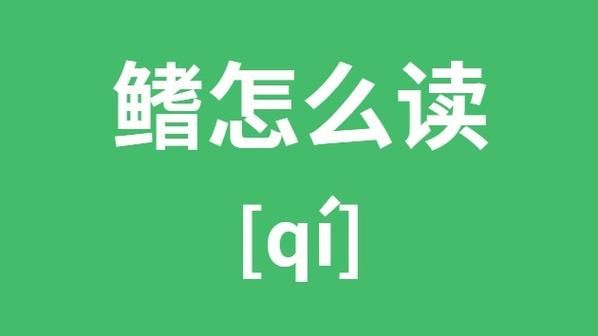 鱼鳍怎么读_鱼鳍的作用有哪些-第1张图片-山城妙识 鱼鳍怎么读_鱼鳍的作用有哪些-第1张图片-山城妙识
