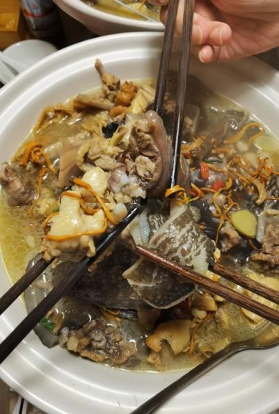 甲鱼汤怎么去腥_甲鱼汤不腥的窍门-第1张图片-山城妙识