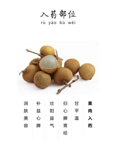 龙眼的功效与作用_龙眼哪些人不能吃-第1张图片-山城妙识