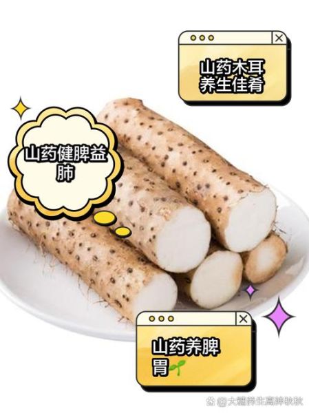 炒山药的功效与作用_孕妇能吃炒山药吗-第2张图片-山城妙识 炒山药的功效与作用_孕妇能吃炒山药吗-第2张图片-山城妙识