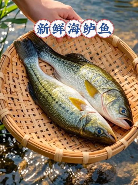 菜市场鲈鱼多少钱一斤_新鲜鲈鱼价格行情-第3张图片-山城妙识 菜市场鲈鱼多少钱一斤_新鲜鲈鱼价格行情-第3张图片-山城妙识