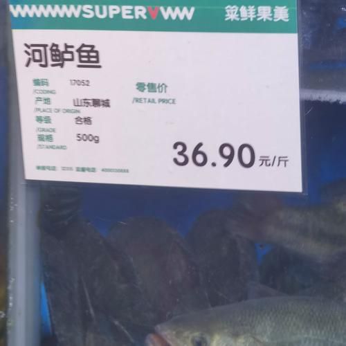菜市场鲈鱼多少钱一斤_新鲜鲈鱼价格行情-第2张图片-山城妙识 菜市场鲈鱼多少钱一斤_新鲜鲈鱼价格行情-第2张图片-山城妙识