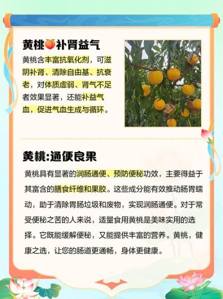 黄桃的功效与作用禁忌_孕妇能吃吗-第1张图片-山城妙识 黄桃的功效与作用禁忌_孕妇能吃吗-第1张图片-山城妙识