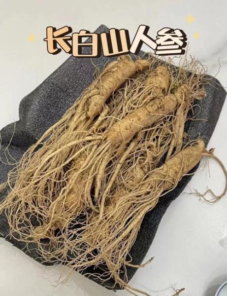 鲜人参怎么吃_鲜人参的吃法与禁忌-第3张图片-山城妙识 鲜人参怎么吃_鲜人参的吃法与禁忌-第3张图片-山城妙识