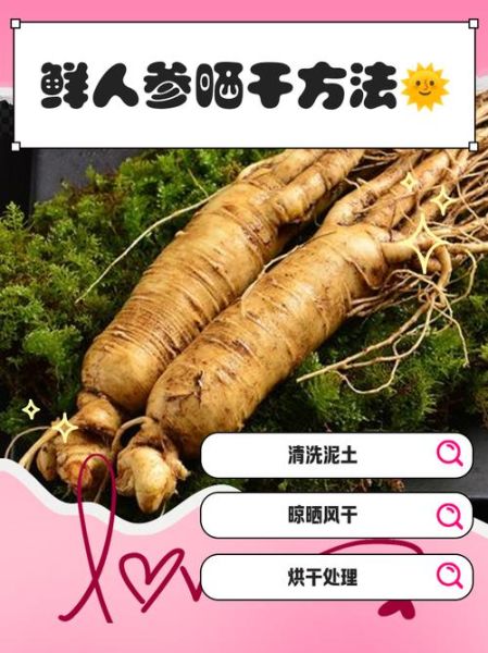 鲜人参怎么吃_鲜人参的吃法与禁忌-第1张图片-山城妙识 鲜人参怎么吃_鲜人参的吃法与禁忌-第1张图片-山城妙识
