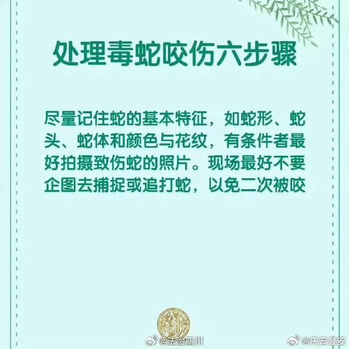 青竹蛇有毒吗_被咬后怎么处理-第1张图片-山城妙识