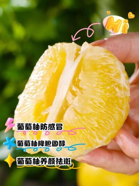 葡萄柚的功效与作用_葡萄柚怎么吃减肥最快-第1张图片-山城妙识