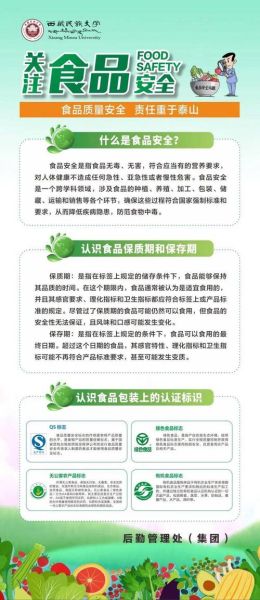 食品安全标准有哪些_如何查询最新法规-第1张图片-山城妙识