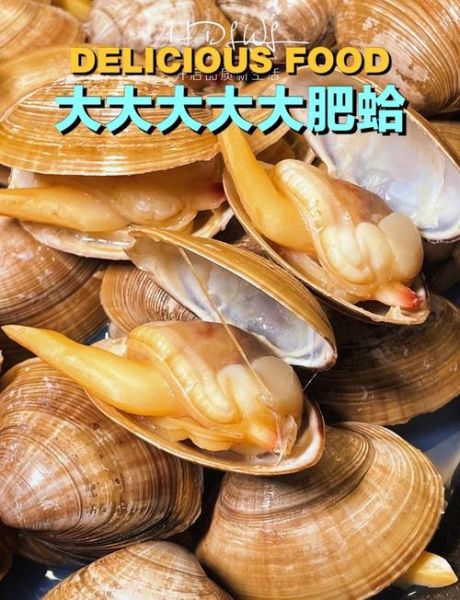 黄蚬子煮多长时间_黄蚬子煮多久才开口-第1张图片-山城妙识