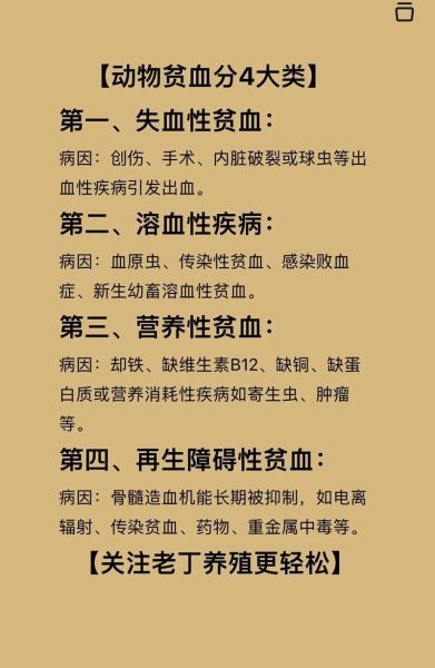 贫血的危害有哪些_贫血对身体的影响-第3张图片-山城妙识 贫血的危害有哪些_贫血对身体的影响-第3张图片-山城妙识