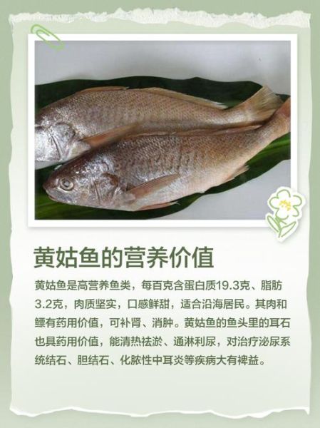 黄姑鱼的营养价值_黄姑鱼适合什么人吃-第1张图片-山城妙识 黄姑鱼的营养价值_黄姑鱼适合什么人吃-第1张图片-山城妙识