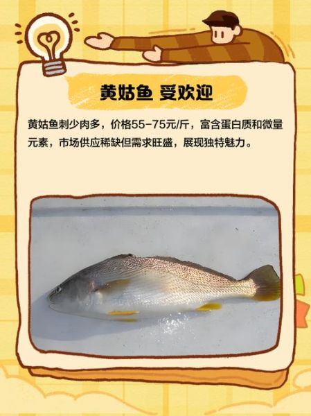 黄姑鱼的营养价值_黄姑鱼适合什么人吃-第3张图片-山城妙识 黄姑鱼的营养价值_黄姑鱼适合什么人吃-第3张图片-山城妙识