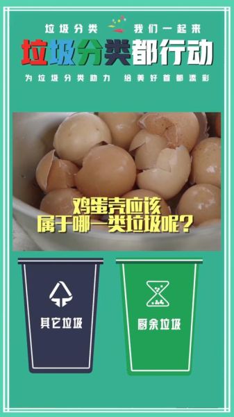 鸡蛋壳属于什么垃圾_鸡蛋壳垃圾分类指南-第1张图片-山城妙识 鸡蛋壳属于什么垃圾_鸡蛋壳垃圾分类指南-第1张图片-山城妙识