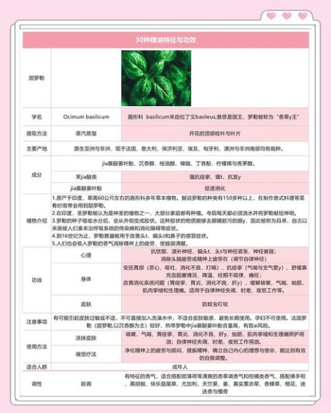 罗勒精油的功效与作用_罗勒精油怎么用-第2张图片-山城妙识 罗勒精油的功效与作用_罗勒精油怎么用-第2张图片-山城妙识