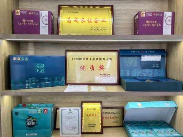 青萝卜什么时候种最合适_青萝卜种植方法全过程-第1张图片-山城妙识 青萝卜什么时候种最合适_青萝卜种植方法全过程-第1张图片-山城妙识