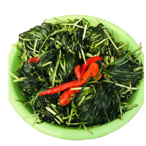 北方腌韭菜咸菜的做法_韭菜咸菜怎么保存不烂-第2张图片-山城妙识