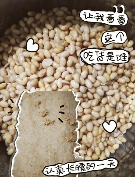 霉黄豆酱怎么做_家庭自制霉黄豆酱步骤-第2张图片-山城妙识