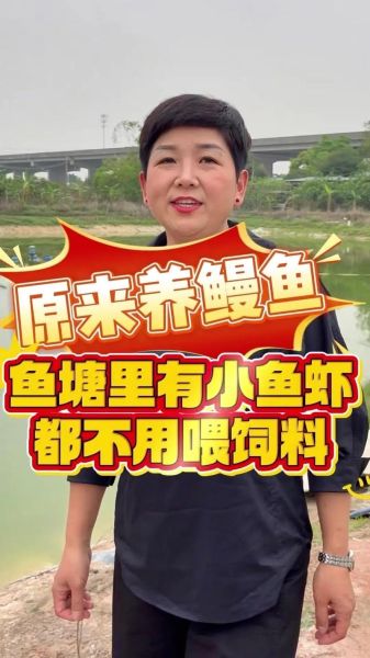 鳗鱼养殖技术与管理_如何提高成活率-第1张图片-山城妙识 鳗鱼养殖技术与管理_如何提高成活率-第1张图片-山城妙识