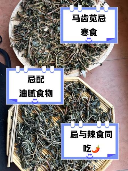 马齿苋不能和什么同吃_马齿苋相克食物有哪些-第1张图片-山城妙识 马齿苋不能和什么同吃_马齿苋相克食物有哪些-第1张图片-山城妙识