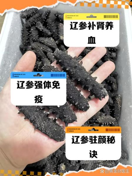 辽参的功效与作用_辽参的营养价值有哪些-第1张图片-山城妙识 辽参的功效与作用_辽参的营养价值有哪些-第1张图片-山城妙识