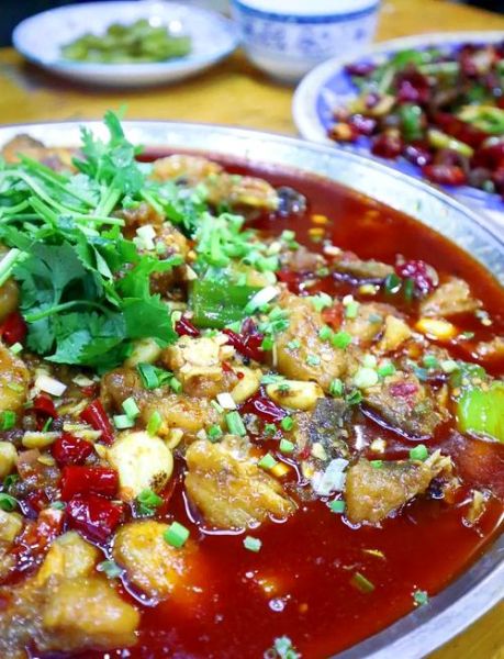 鲢鱼吃什么食物_鲢鱼最爱吃什么饵料-第1张图片-山城妙识 鲢鱼吃什么食物_鲢鱼最爱吃什么饵料-第1张图片-山城妙识