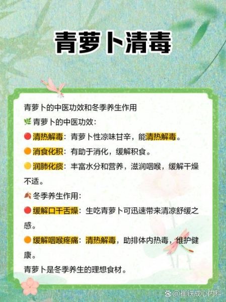 生吃青萝卜能减肥吗_生吃青萝卜的功效与作用-第1张图片-山城妙识 生吃青萝卜能减肥吗_生吃青萝卜的功效与作用-第1张图片-山城妙识