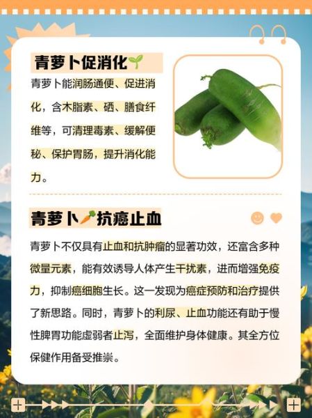 生吃青萝卜能减肥吗_生吃青萝卜的功效与作用-第2张图片-山城妙识 生吃青萝卜能减肥吗_生吃青萝卜的功效与作用-第2张图片-山城妙识