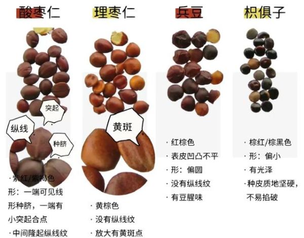 酸枣仁图片_酸枣仁真假怎么辨别-第1张图片-山城妙识 酸枣仁图片_酸枣仁真假怎么辨别-第1张图片-山城妙识