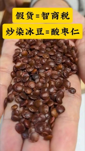 酸枣仁图片_酸枣仁真假怎么辨别-第2张图片-山城妙识 酸枣仁图片_酸枣仁真假怎么辨别-第2张图片-山城妙识
